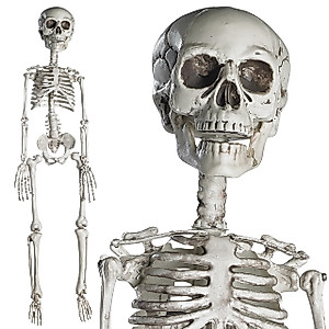 Prextex Skeleton Halloween & Day of The Dead Decoration for Home and Office - 19 Inch Posable Plastic Small Skeleton Toy Halloween Décor with Movable / Bendable Joints and 2 Sets of Body Accessories