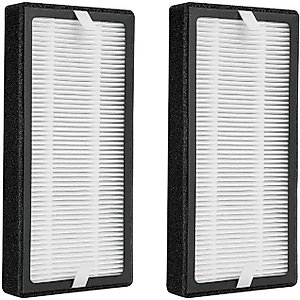 2 Pack of AP-DT10FL True Hepa Replacement Filter Compatible with HomeMedics TotalClean Desktop Air Purifier Models AP-DT10BK and AP-DT10WT. Compare to Part # AP-DT10FL