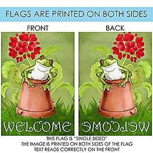 Toland Home Garden 119122 Potted Frog Frog Flag 12x18 Inch Double Sided Frog Garden Flag for Outdoor House Flower Flag Yard Decoration