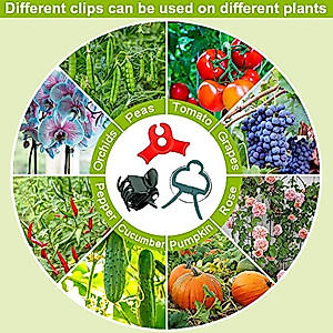 RSZBUMY 80pcs Mixed Plant Clips Variety for Tomato, Climbing Plants Support, Garden Clips for Tomato ect, Plant Training Clips, Orchid Clips