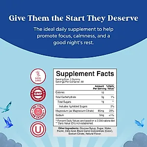 Relaxing Calm Magnesium Gummies for Kids - Great Tasting Kids Magnesium for Nerve Bone and Muscle Health Calm Gummies for Wellness with 85mg per Serving