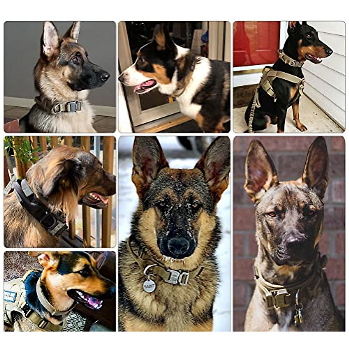 Tactical Dog Collar with Silicone Airtag Case, Military Training Nylon Dog Collars with Control Handle and Heavy Duty Metal Buckle, Adjustable for Medium Large Dogs (Green L)