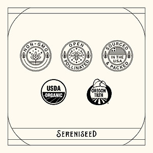 Sereniseed Certified Organic Cilantro Seeds (100 Seeds) – 100% Non GMO, Open Pollinated – Grow Guide