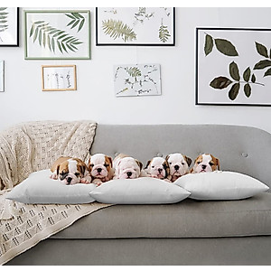 Thmyo Pack of 4 Outdoor Pillow Inserts,Water Resistant Square Decorative Throw Pillows Couch Sham Cushion Stuffer for Bed Living Room Garden Patio Bench (18x18 inch/ 45x45cm)