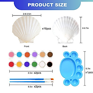 LUCKY BABY Seashells Painting Kit for Kids 16pcs, Arts and Crafts Kits for Girls Boys Age 6 7 8 9 10 11 12, Natural Sea Shells DIY Painting with Watercolor Paints and Brush 2.7-3.5 Inches