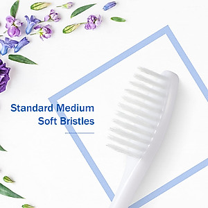 Honeydak 200 Pieces Disposable Toothbrushes Individually Wrapped Toothbrushes Multicolor Soft Bristle Medium Manual Travel Toothbrushes for Hotel Toiletries