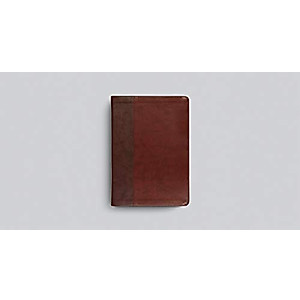 ESV Single Column Journaling Bible, Large Print (TruTone, Burgundy/Red, Timeless Design)