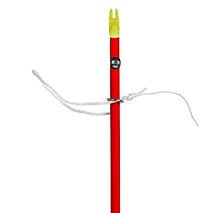 Cajun Bowfishing Slide Rings 10-Pack - Enhanced Penetration for Deep Water Fishing, Added Strength for Large Fish, Premium Stainless Steel Construction, Saltwater Approved , Easy Installation