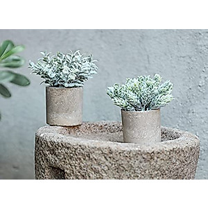 Der Rose 6pcs Mini Potted Fake Plants Small Artificial Plants for Home Farmhouse Bathroom Desk Office Decor