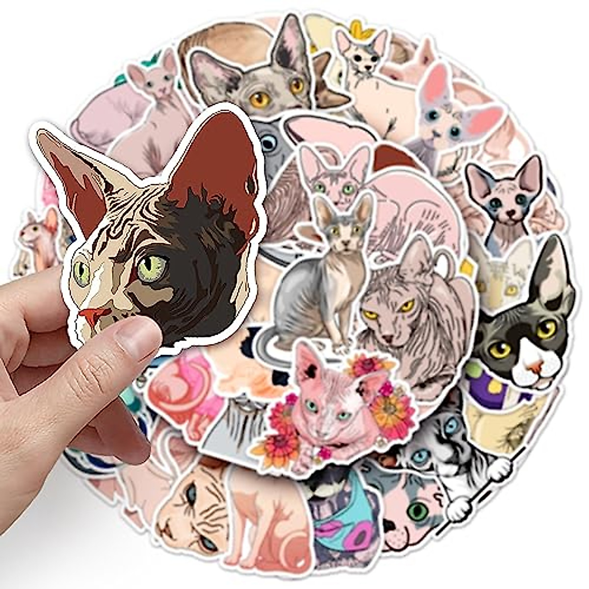 Hairless Cat Vinyl Stickers for Kids Girls Boys|50 Pcs|Cute Cartoon Animals Waterproof Stickers for Laptop Water Bottle Phone Cup Tablet Luggage Flasks, Lovely Pet Decals Pack(Hairless Cat-50Pcs)