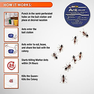 Homeplus™ Ant Killer AB, Metal Ant Bait, Ants Killer for House, Ant Traps Indoor & Outdoor, 4 Pack