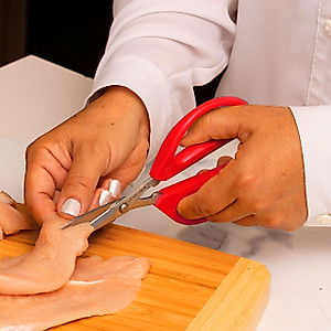 Joyce Chen Red Original Unlimited Kitchen Scissors Handles, Pack-1