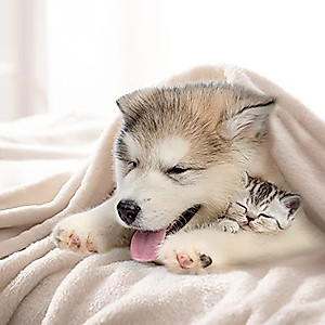 Bertte Fleece Throw Blanket Super Soft Cozy Warm Lightweight Throw for Sofa Couch Luxury Decorative Velvet Pattern Bed Blanket, 50"x60", Ivory White