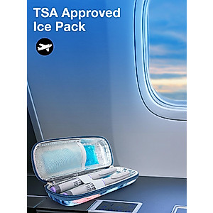 Leng Ke Ice Pack for Insulin Cooler Travel Case TSA Approved - Gel Ice Pack for Travel Medicine Organizer, Small Ice Packs for Diabetic Travel Case and Refrigerated Medicine Travel Case (4 Pack)