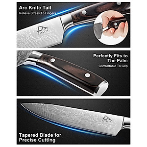 DT·Live Chef Knife, 8 Inch High Carbon German Stainless Steel Sharp Kitchen Knife for Chopping and Slicing, with Gift Box and Knife Cover, Full Tang, Ergonomic Wooden Handle