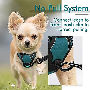 rabbitgoo Dog Harness, No-Pull Pet Harness with 2 Leash Clips, Adjustable Soft Padded Dog Vest, Reflective No-Choke Pet Oxford Vest with Easy Control Handle for Small Dogs, Blue Coral, XS