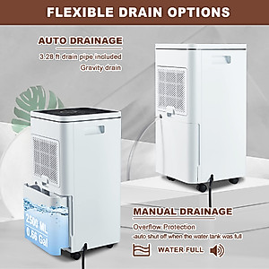 Sapodilla Dehumidifier for Basement, 30 Pints Dehumidifier for 2000 Sq.Ft, Auto or Manual Drainage, Portable Home Dehumidifier for Large Room Bedroom Bathroom Laundry