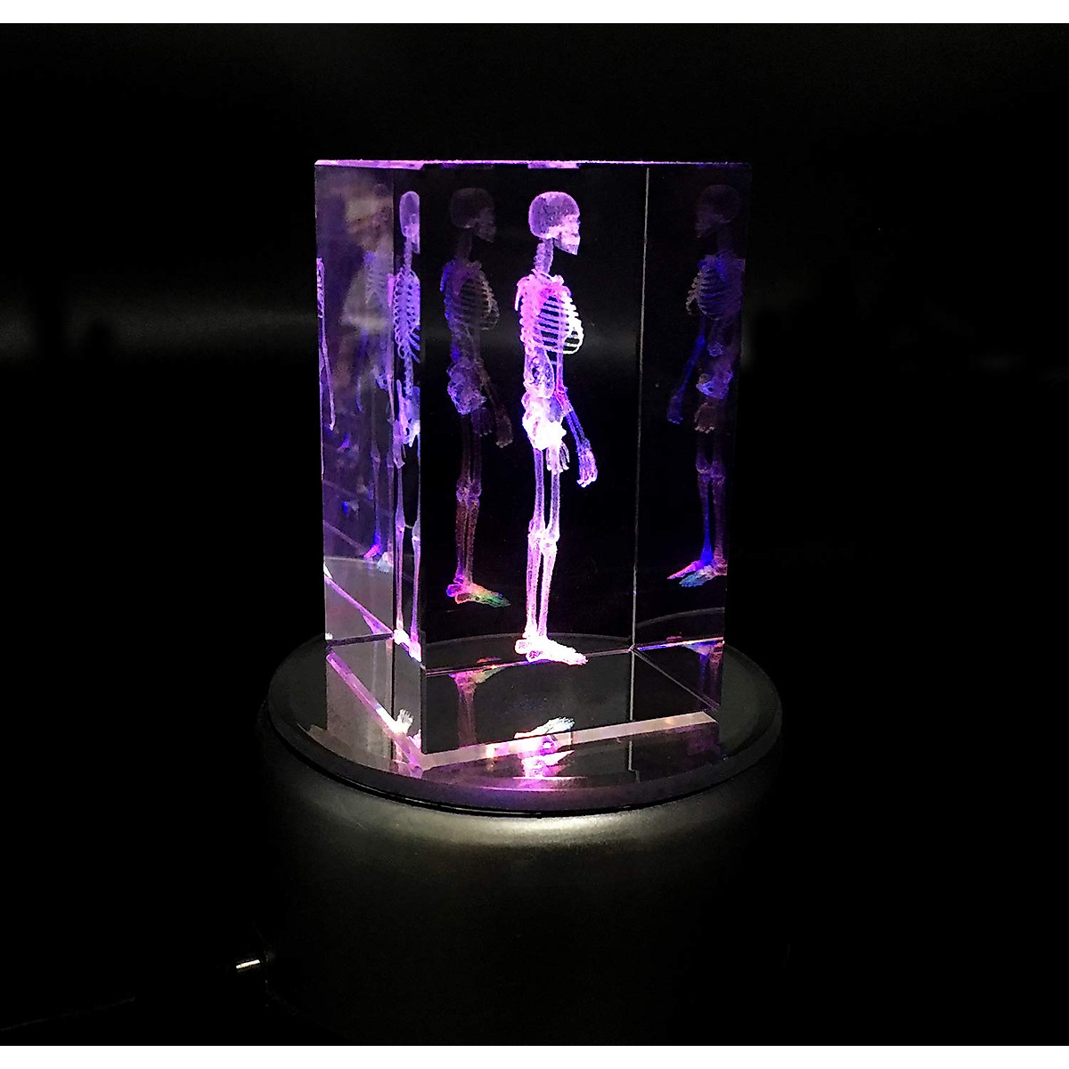 3D Human Skeleton Anatomical Model Paperweight(Laser Etched) in Crystal Glass Cube Science Anatomy Gift (No Included LED Base)(3.1x2x2 inch)