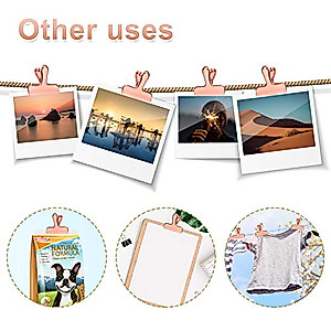 Whaline Stainless Steel Chip Clips Set, Rose Gold Chip Bag Clips Heavy Duty Food Clips Round Edge Air Tight Seal Grip for Home Office Kitchen Home Usage Storage (8 Pieces of the Size 3'')