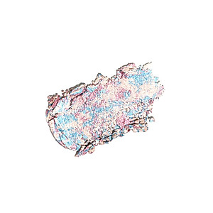 Profusion Cosmetics Jurassic Park Illuminating Highlighter Face Make Up - Skin Perfecting Palette Roaring Glow for Adventure-Ready Looks | Vegan & Cruelty-Free (JURASSIC STOMP)