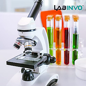 LABINVO Pre-cleaned Frosted Microscope Slide Set, 288Pcs of Dim.75.0X25.0X1.1mm Slides, 45°Corners, Super Grade, Ground Edges, with A Mark Pen, IN-MSP002