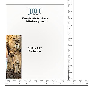 JBH Creations Baby Animal Bookmarks - Pack of 48