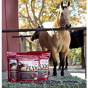 Flix 9 lb, 100% Flaxseed Healthy Treats for Horses, High in Omega-3
