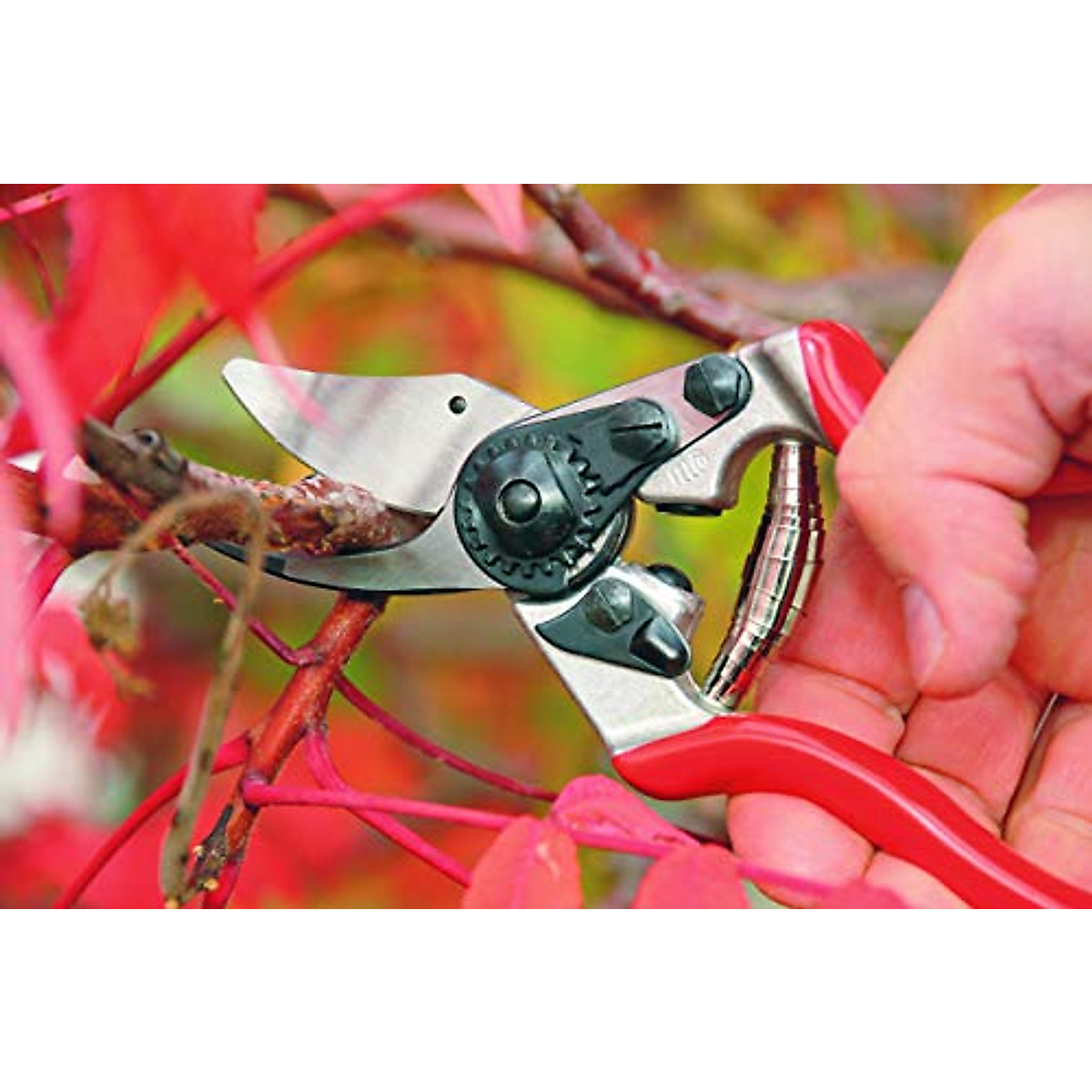 Felco Pruning Shears (F 6) - High Performance Swiss Made One-Hand Garden Pruners - 100052385