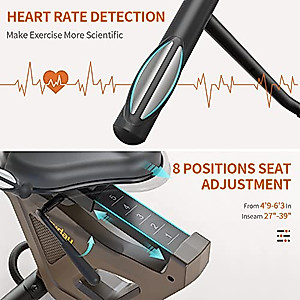 Niceday Indoor Recumbent Exercise Bike Workout Equipment for Home Gym with Dust Cover 400LBS Weight Capacity