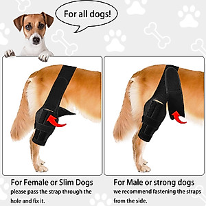 Dog Knee Brace for Torn ACL Hind Leg-Upgraded Dog Leg Brace for Cruciate Ligament Injury,Adjustable Support for Joint Pain,Muscle Soreness,Knee Cap Dislocation (Medium)