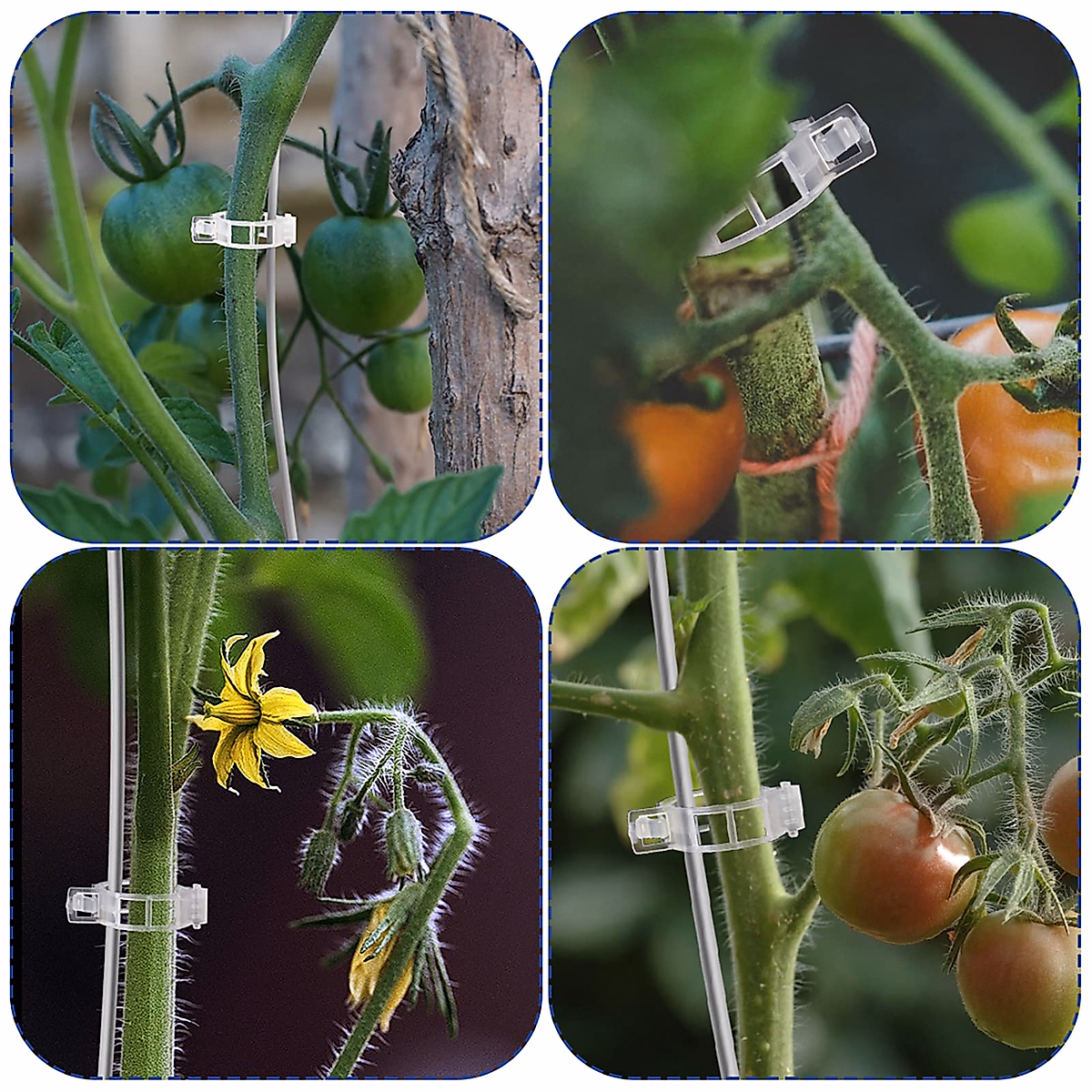 200PCS Plant Support Garden clips, Vegetable Cages and Supports, Garden Trellis for Climbing Vine Plants, Supports Clip for Tomato Grape Melon, Makes Garden Crop to Grow Upright and Healthier