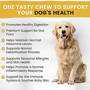 Allergy and Itch Skin Supplement | Immune Support Chews with Probiotics, Turmeric, Omega 3, Colostrum | Dog Chews for Gut & Digestive Health, Seasonal Allergies, Nose Congestion