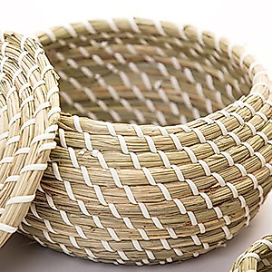 Cabilock Wicker Basket with Lid Mini Straw Hand Large Woven Basket Rattan Storage Basket Box Woven Storage Baskets Small Wicker Baskets