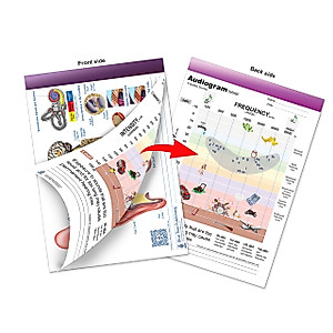 Blue Tree Publishing Ear and Audiogram Writing Tablet for Patient Education. Tablet-50 Sheets Per Tablet-1 Tablet Per Package-8 1/4" w, 11 5/8" t'
