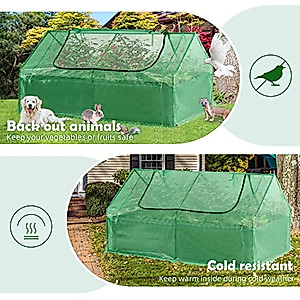 okcomuy 8x4x2ft Outdoor Galvanized Raised Garden Bed with Greenhouse, 2 Large Zipper Mesh Screen Windows Cover, Deep Root Planter Box for Vegetables, Flowers, Herbs, Succulents w/ 358 Gallon Capacity