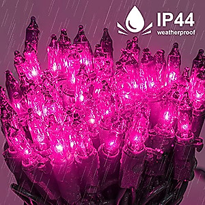 MYGOTO Purple Christmas Lights Outdoor, 2Pack 13Feet 50Count Halloween String Lights Connectable 120V Plug in for Outdoor Indoor Garden Party Christmas Xmas Tree Lights Decor (Purple)