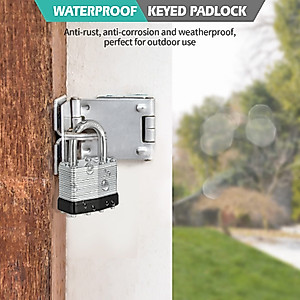 Travate Keyed Alike Padlocks, Nickel Plated Padlocks Keyed Alike Set of 12, Key Lock with 1-9/16"(40mm) Wide Body 1-inch Shackle for Storage Unit, Sheds, Garages and Fence