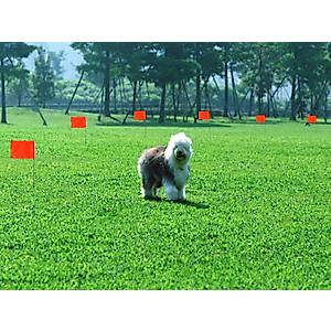 Purple Marking Flags, 100 Pack Marker Flags | 4x5x16 Inch, Boundary Flags Dog Training, Invisible Fence, Yard/Lawn/Survey /Landscape/Sprinkler Flags