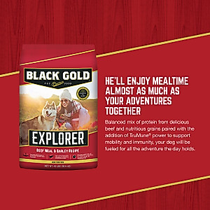 Black Gold Explorer Beef Meal & Barley Recipe Dry Dog Food