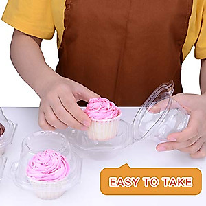 HIMETSUYA Cupcake Boxes Individual Cupcake Containers, 50 Packs Regular Single Cupcake Holder High Topping for Muffins, Thicker Stackable Plastic Cupcake Carrier for Party (50 pack)