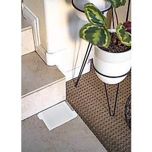 20-Pack Glue Traps by Eco Pro Pest Control | Non-Toxic Glue Traps for Bugs, Cockroaches, Ants, Spiders, Crickets, & Mice | Max Adhesive Strength Mouse Glue Trap | Indoor & Outdoor Pest Glue Traps