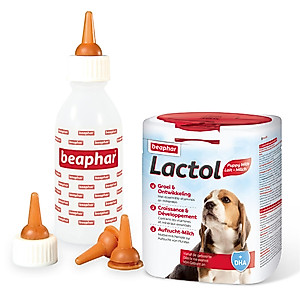 Beaphar Lactol Feeding Set