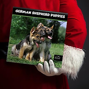 MICASA German Shepherd Puppies 2024 Wall Calendar 12 Month | 12" x 24" Open | Thick & Sturdy Paper | Giftable | Calendar 2024