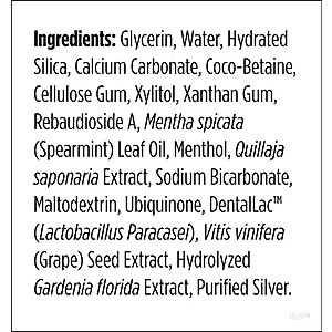 Designs for Health PerioBiotic Xylitol Toothpaste - Fluoride Free Toothpaste with Probiotics, Purified Silver + CoQ10 for Healthy Teeth, Gums & Fresh Breath - No SLS or BPAs - Spearmint Flavor (4oz)