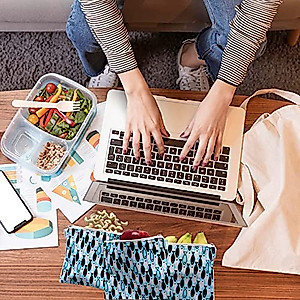 Reusable Snack Bags Sandwich bags Washable Food Safe BPA-free Lead-Free PVC-Free 4 Pack