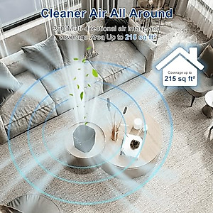 Air Purifiers for Bedroom Home, Air Purifier with True H13 HEPA Filter for Dander Pollen Odor, Small Desktop Air Purifier with 9 Timers for Office,Living Room, Bedroom,Kitchen, Black,1pack