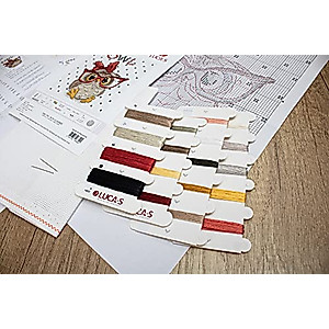 Cross Stitch Kit Luca-S - The Owl with Glasses, B1403