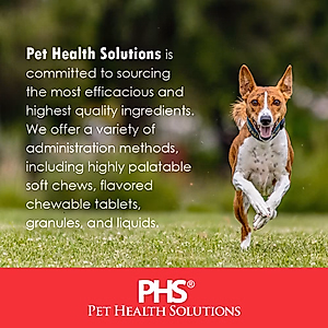 Pet Health Solutions Chickles Chicken Breast Fillets for Dogs - Tested Safe, Low Fat Chicken Dog Treats Natural - 100% Natural Chicken High Protein No Preservatives Propylene Glycol Free (1 LB)