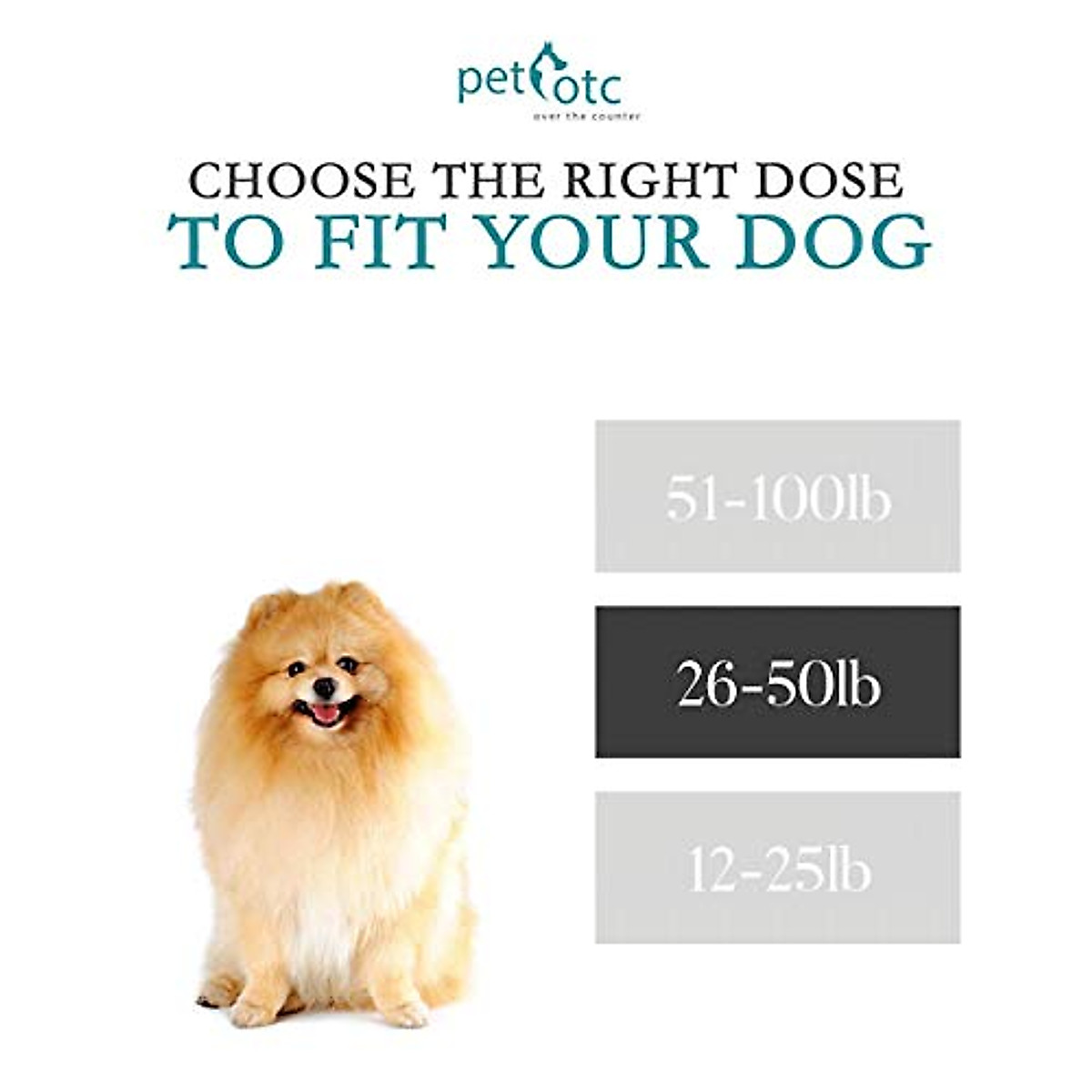 Nausx Anti-Motion Sickness & Relief for Dogs, Md