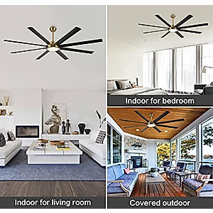 WINGBO 64" Ceiling Fan with Lights and Remote Control, Brass and Black Ceiling Fan, 8 Aluminum Blades, 6-Speed Reversible DC Motor, Modern Ceiling Fan for Kitchen Bedroom Living Room, ETL Listed